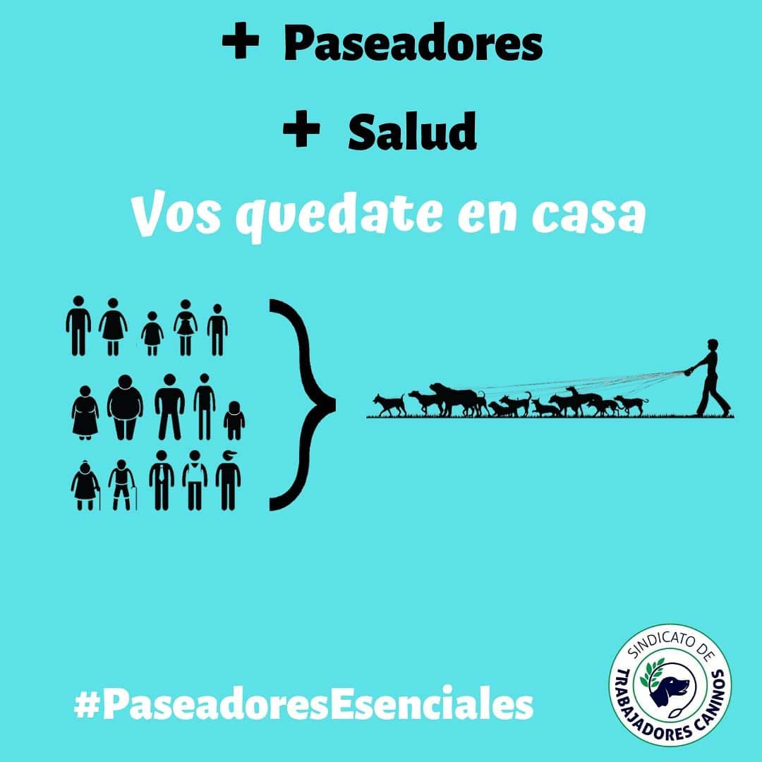 Los Paseadores De Perros Piden Que Su Actividad Sea Considerada