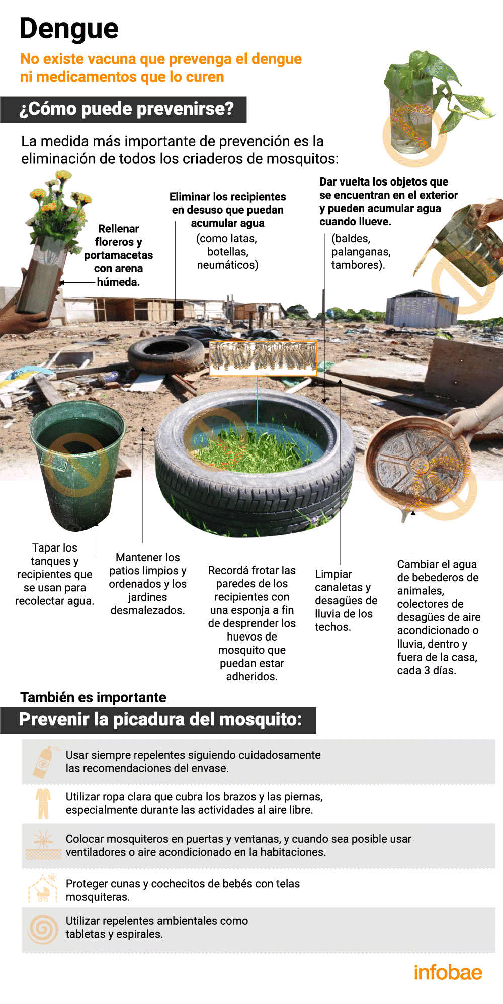 “vivo En El Barrio De Flores Donde El Dengue Le Gana Por Goleada Al