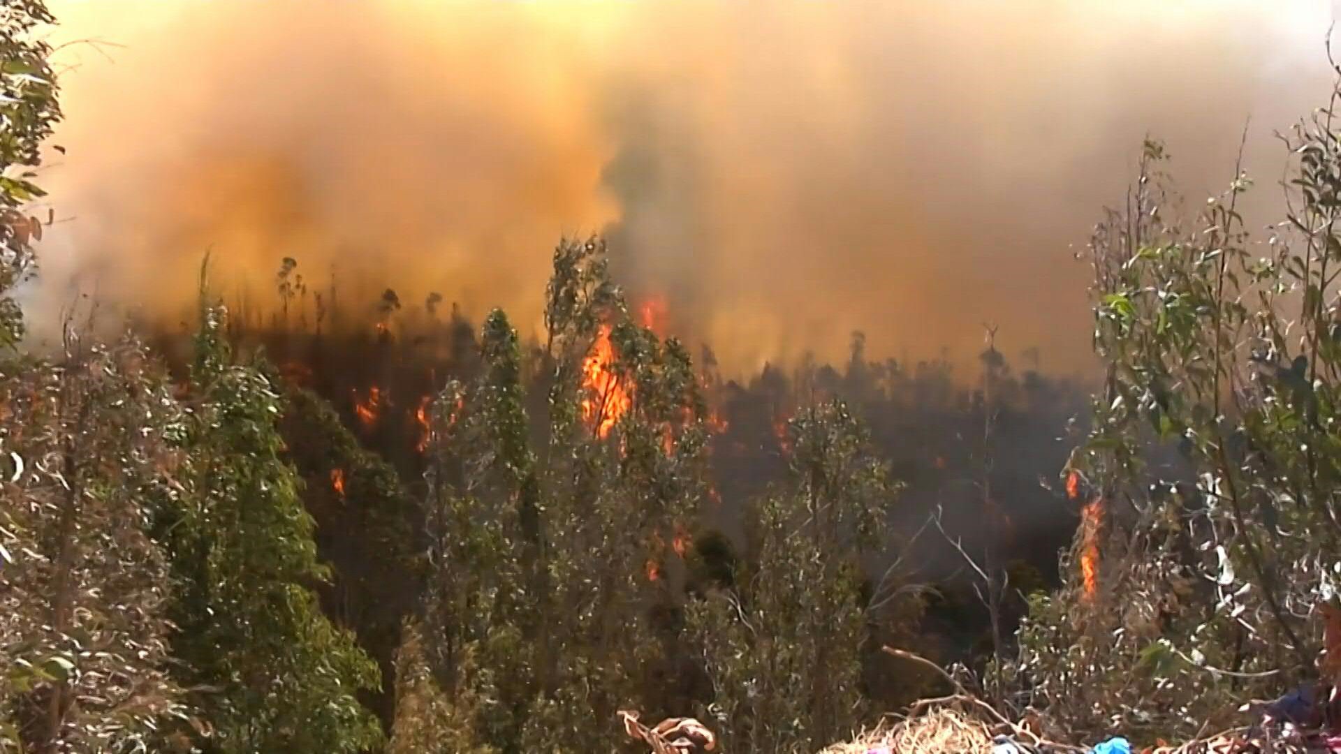 Unas 150 Casas Destruidas Por Voraz Incendio Que Continúa Activo En